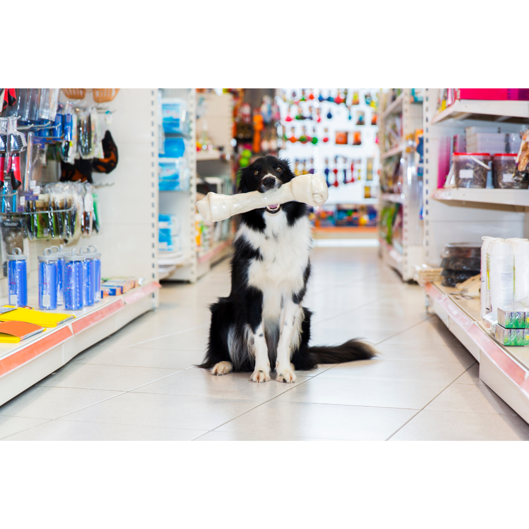 Pet Marketing Toolkit: Essentials Every Pet Brand Needs in 2025